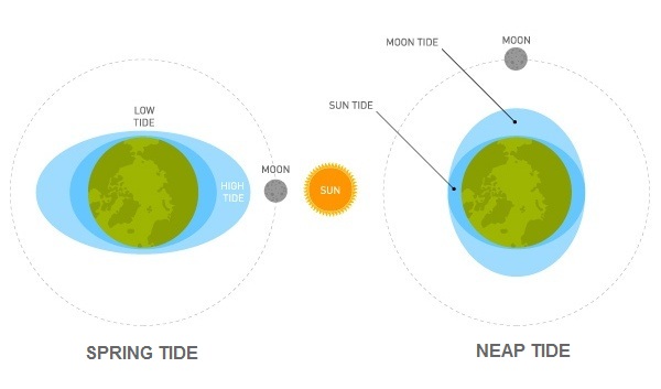 Tides: Types and Causes | Rashid's Blog: A Place for Inquisitive Souls